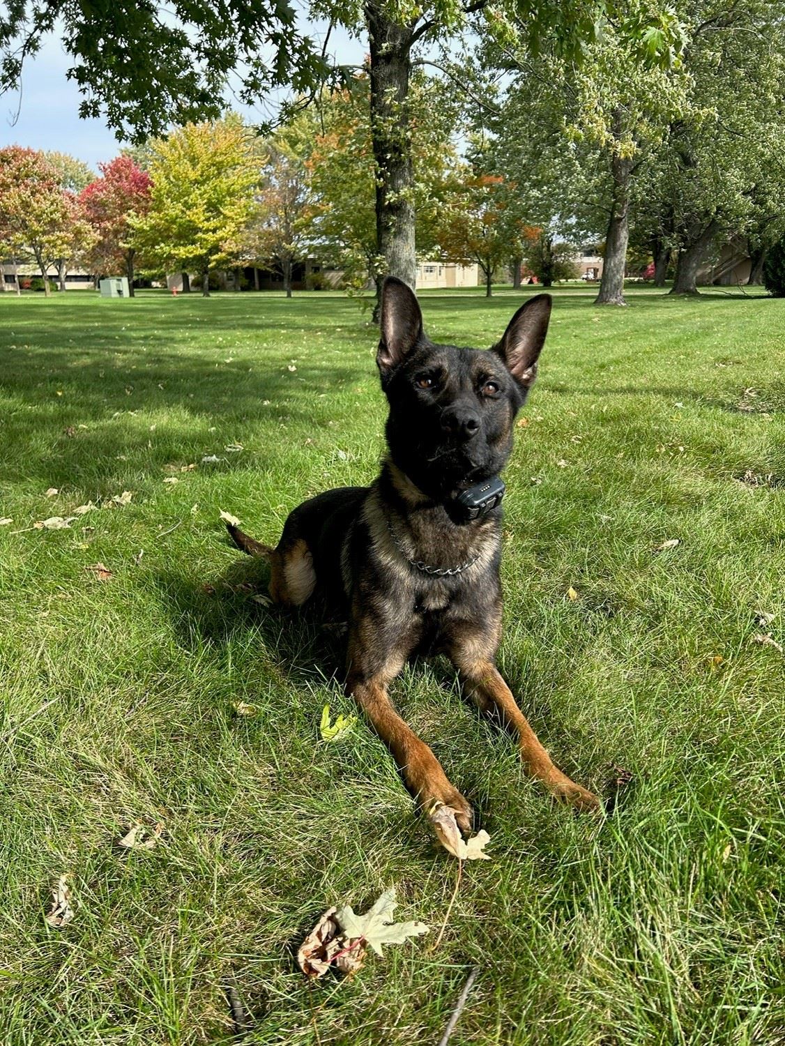 Patrol - Fishers Police Department